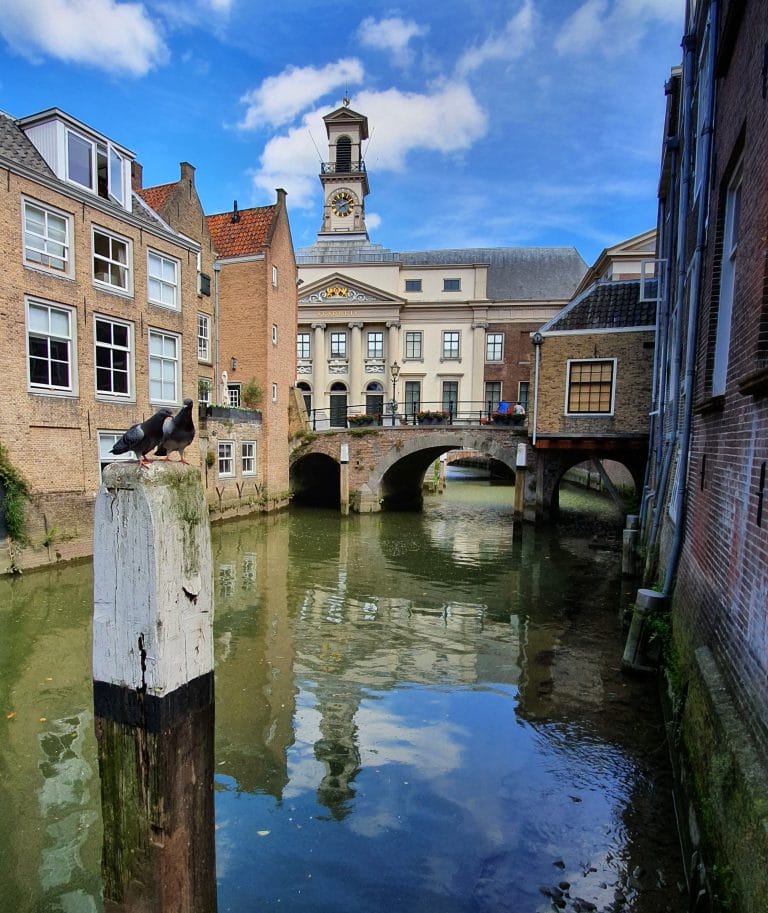 Rondje Dordt | stadswandeling door historisch Dordrecht