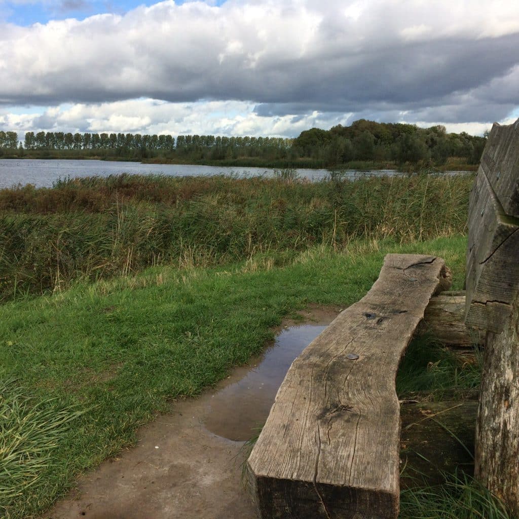 Natuurpad Nieuwe Merwede en Struinpad De Tongplaat | in Dordrecht