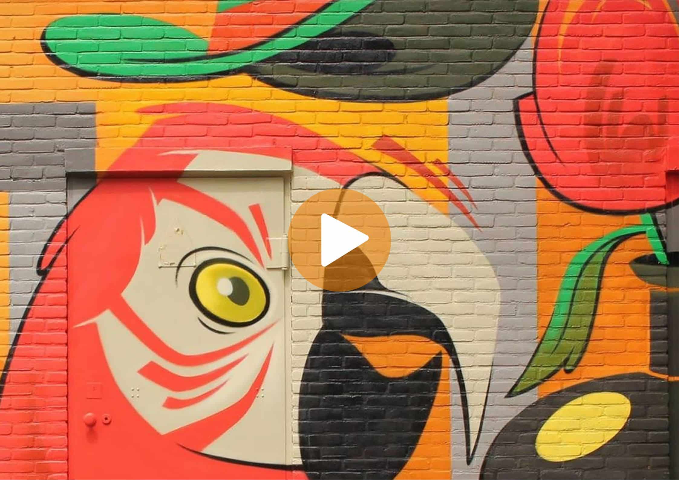 Street Art & Murals - In Dordrecht