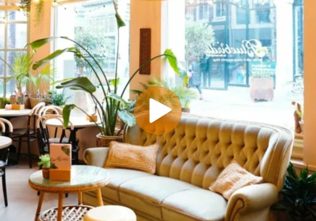 Bluebirds in the Backyard Garden Café - In Dordrecht